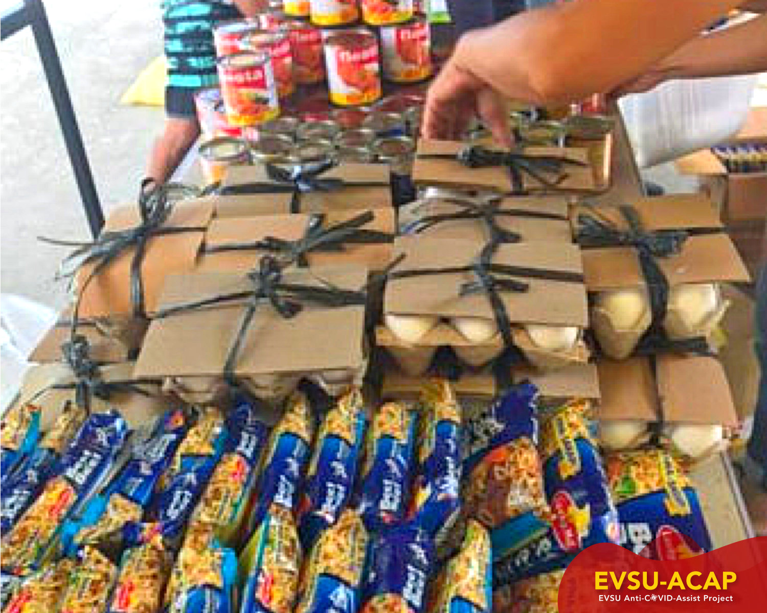 EVSU Ormoc Faculty and Alumni allot personal money for frontliners ...